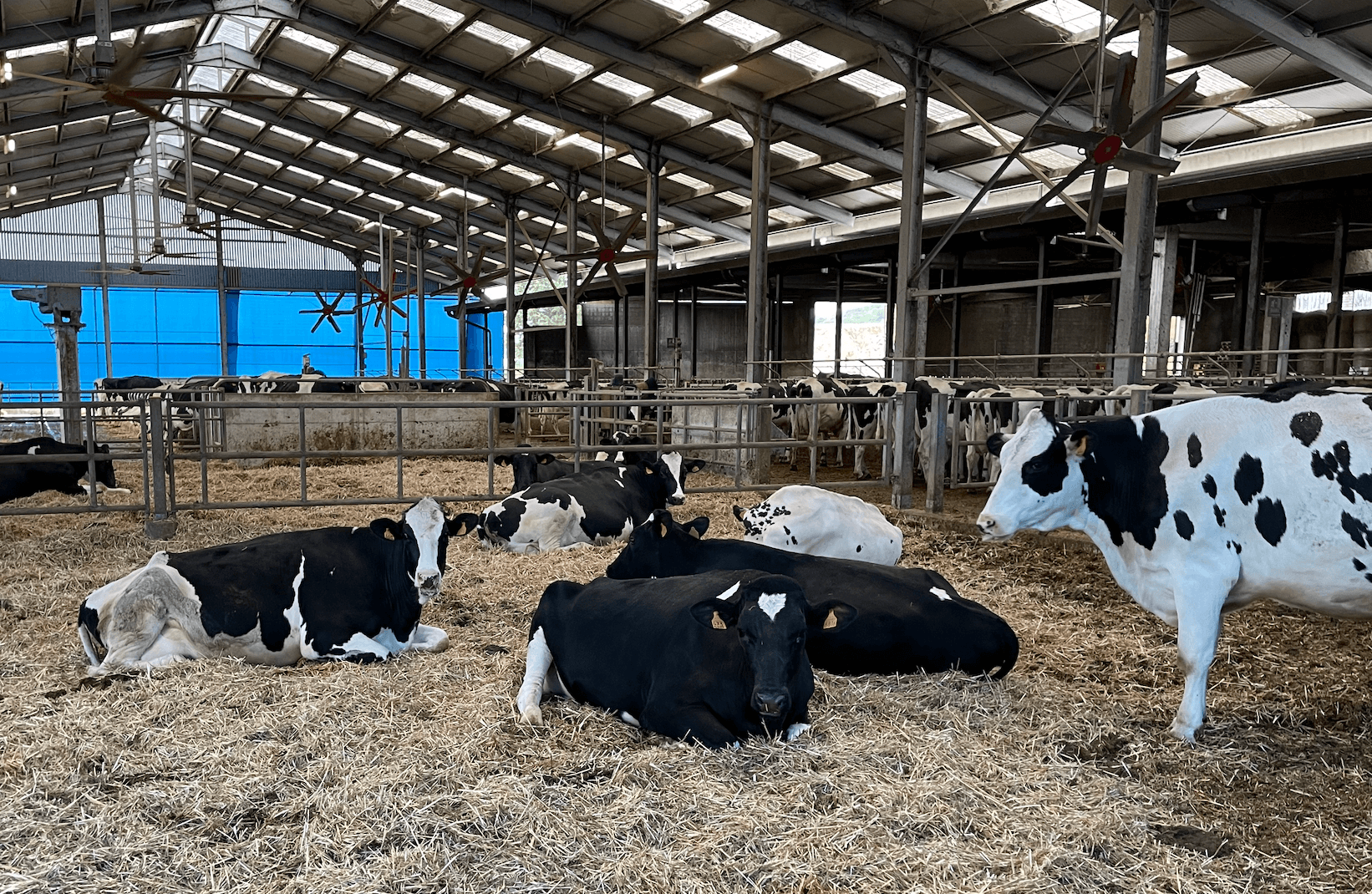 Agricoltura sostenibile e benessere animale: contributi per ...