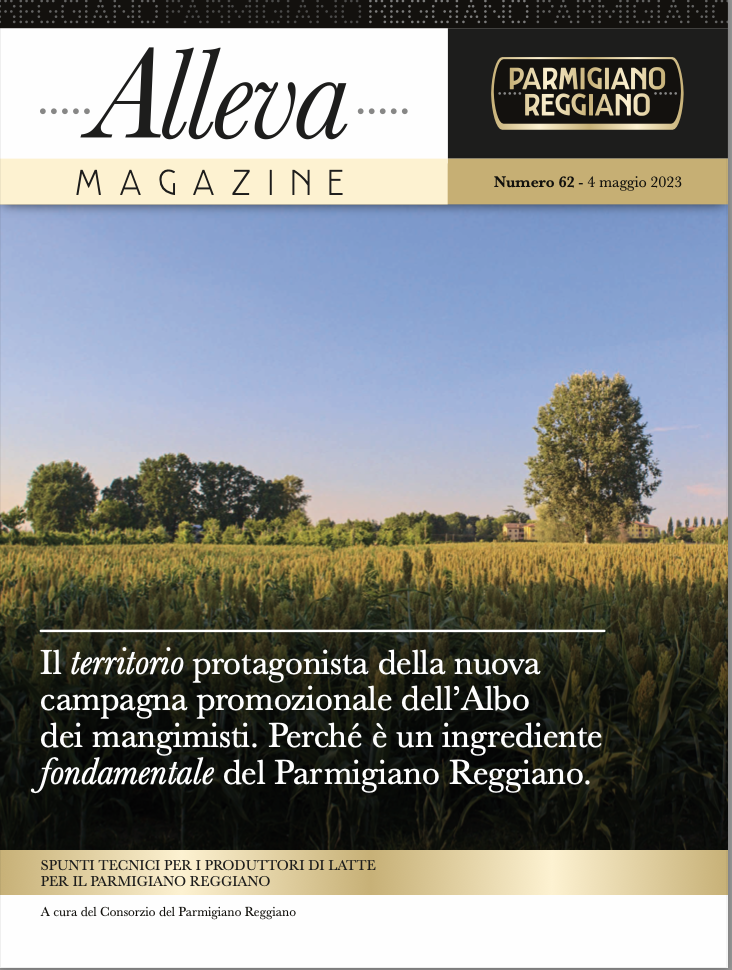 Alleva Magazine n. 61